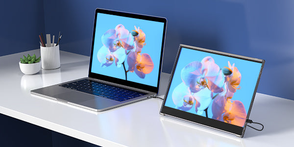 Troubleshooting "No Signal" Issues with Portable Monitors: A ...